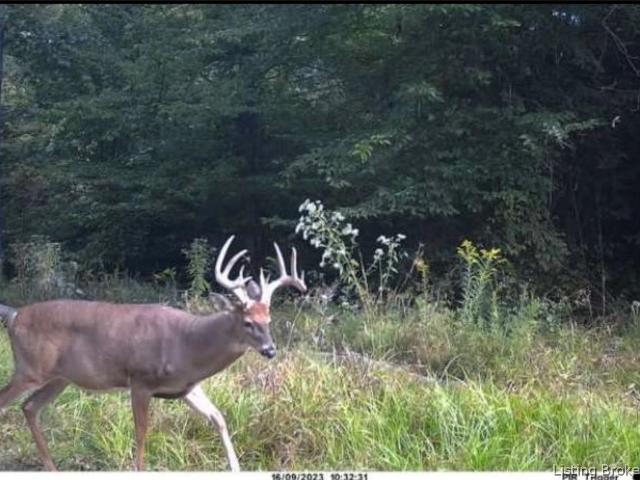 Lot #1 Deer Creek Road