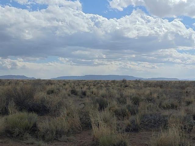 Lot 1 Durango Ave