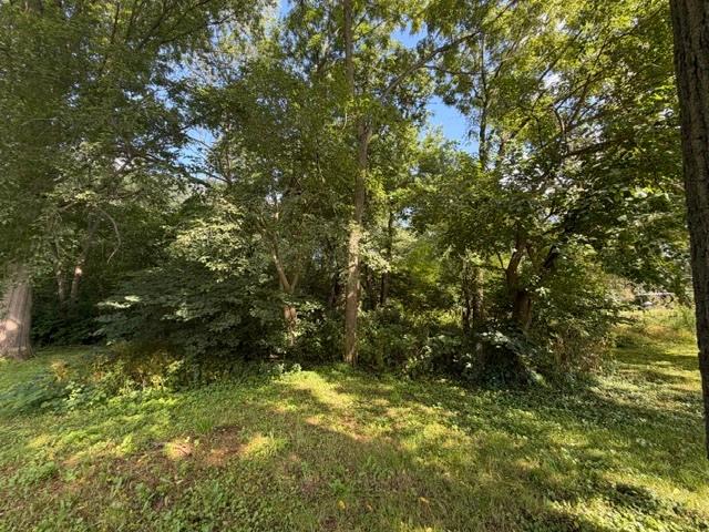 Lot 1 E Madison Street