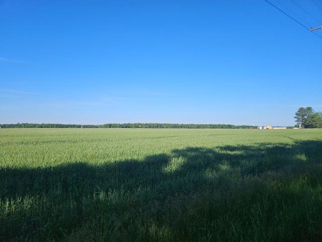 Lot 1 E Sunset Avenue