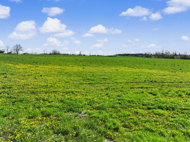 Lot 1 E Sauk Rd