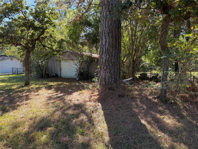Lot 1 Easy Street