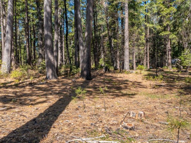 Lot 1 Emigrant Trail