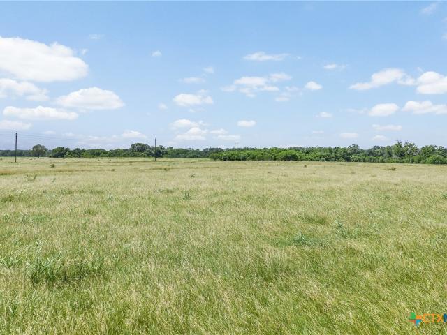 Lot 1 Fm 795