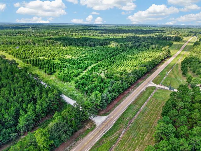Lot #1 FM 1280 / Trinity Trail