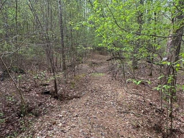 LOT #1 Frontier Shores Road