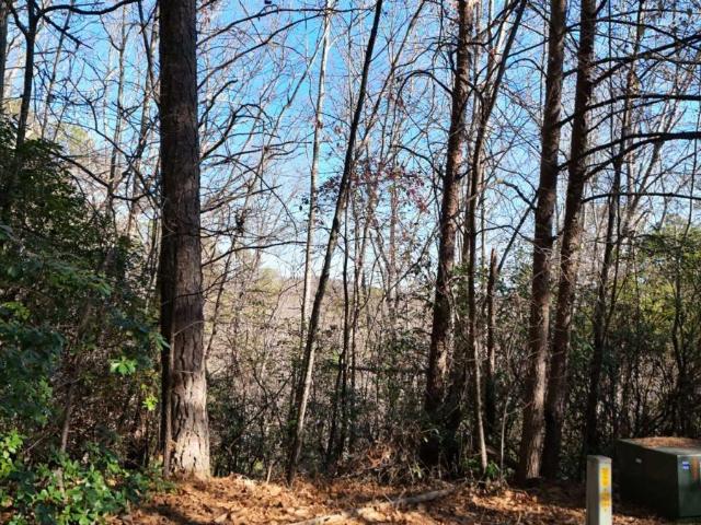 LOT 1 Gold Valley Road