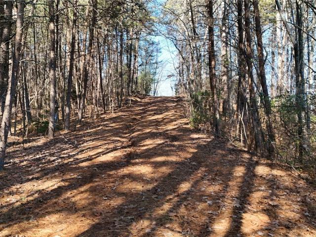 Lot 1 Gold Valley Road