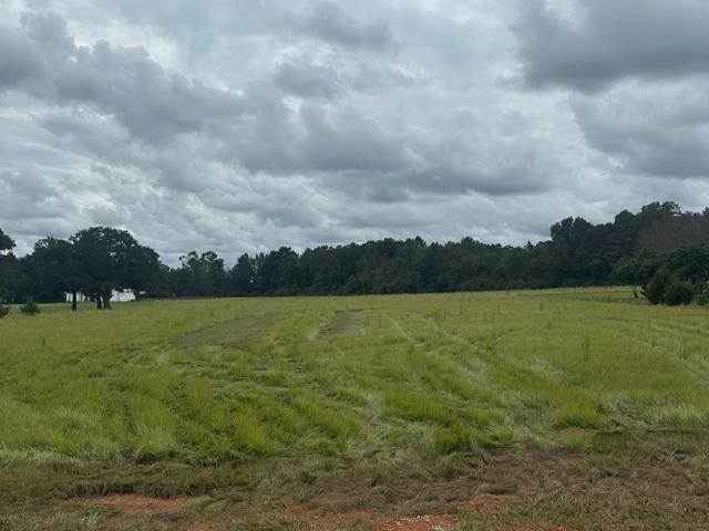 Lot 1 Hadden Road