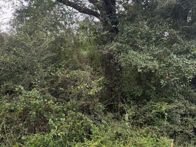 LOT 1 Harrison Davisboro Road