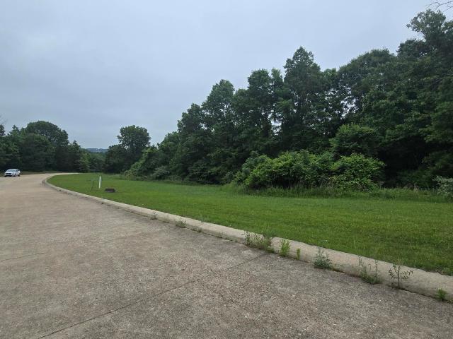Lot 1 Hillcrest Avenue