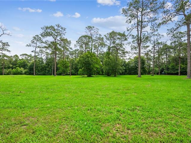 LOT 1 Hwy 435 Highway