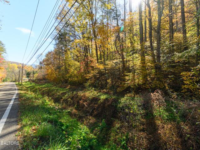 Lot 1 Jones Cove Rd