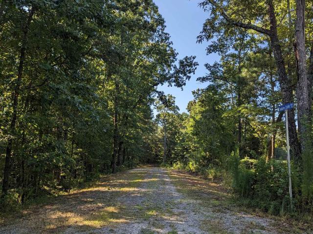 LOT 1 Joe Roberts Road