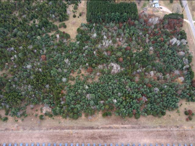 LOT 1 Kable Avenue