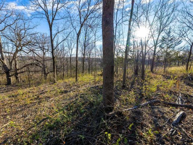 Lot 1 Krueger Rd