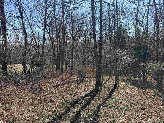 Lot 1, Landings Court, KY 40078