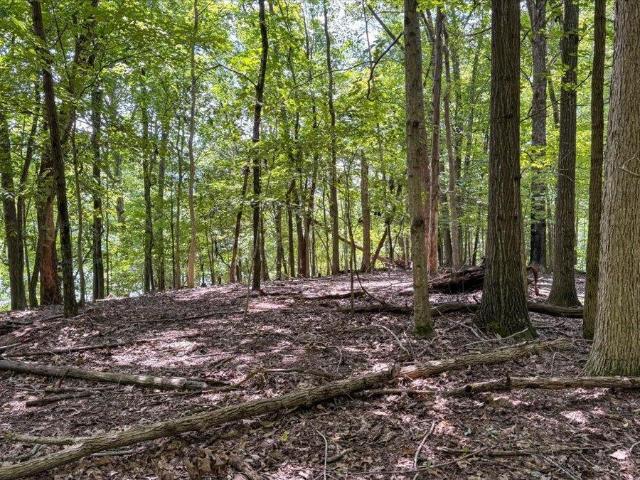 Lot 1 Lake Point Drive