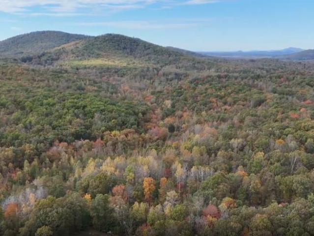 Lot 1 Laurel Road