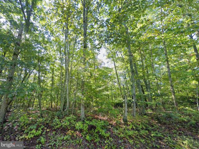 Lot 1 Laurel Rd, Shipman, VA 22971 | MLS #VANL2000