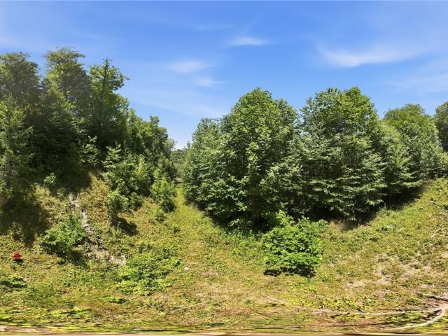 Lot 1 Laurel Ridge Lane