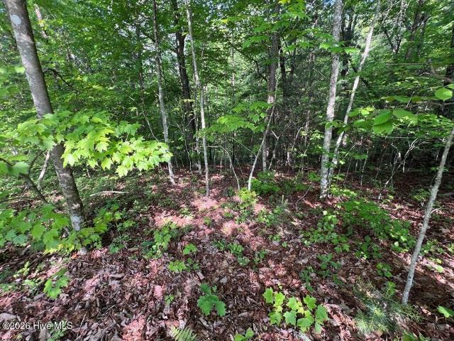 Lot 1 Leonard Lane