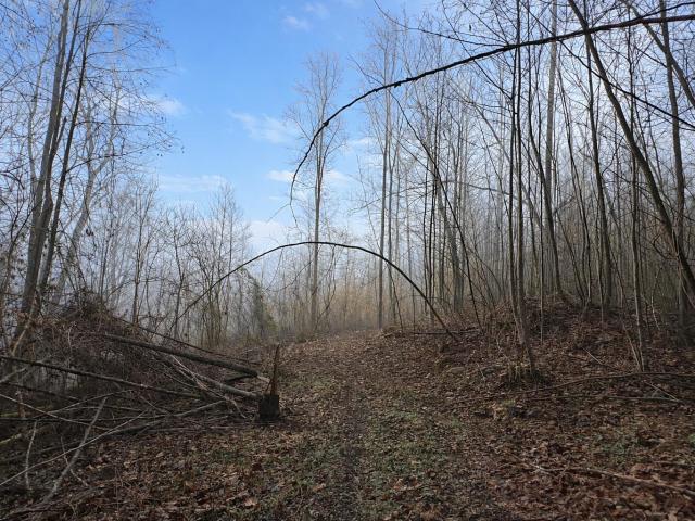 Lot 1 Lower Turkey Creek Road