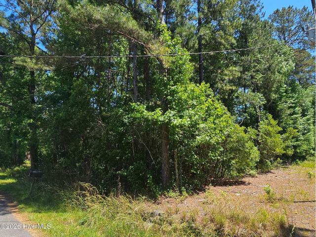 Lot 1 Lucas Avenue # 1