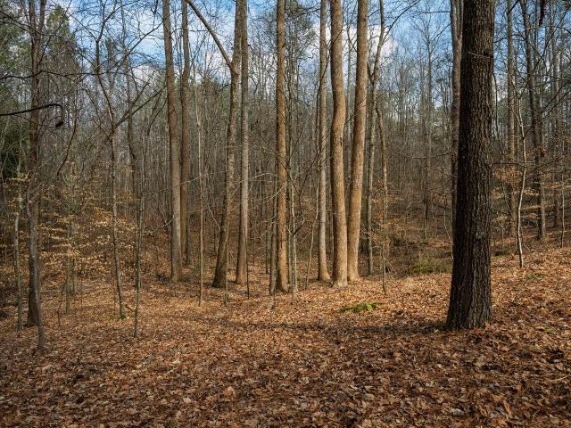 Lot 1 Marvin Edwards Ln, Chapel Hill, NC 27516 | MLS #10151