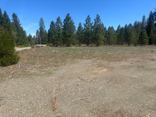 Lot 1 Mount Lassen Woods Drive