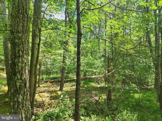 LOT 1 Nathaniel Mountain Heights