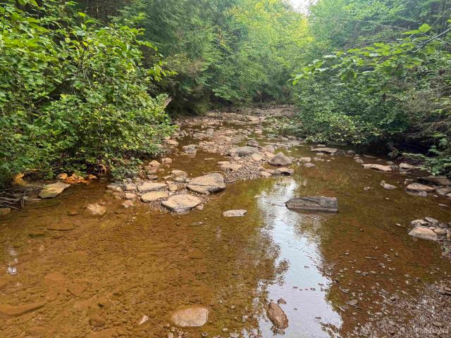 Lot 1 North M 64 Highway