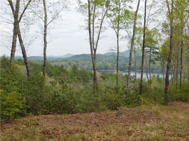 Lot 1 Old Chapman Bridge Rd, Salem, SC 29676 | MLS #20250