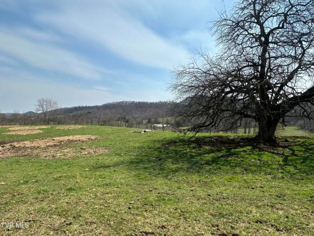 Lot 1 Old Snapps Ferry Road