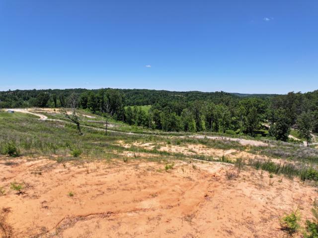 Lot 1 Opossum Run Road