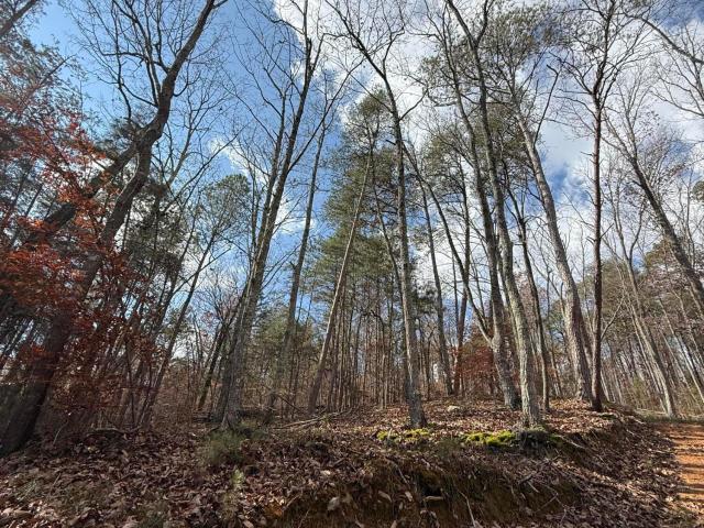 Lot 1 Parksville Road
