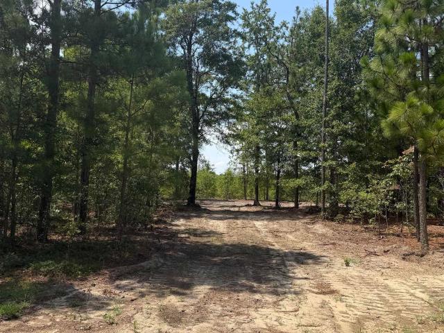 Lot 1 Patrick Highway Lot 1