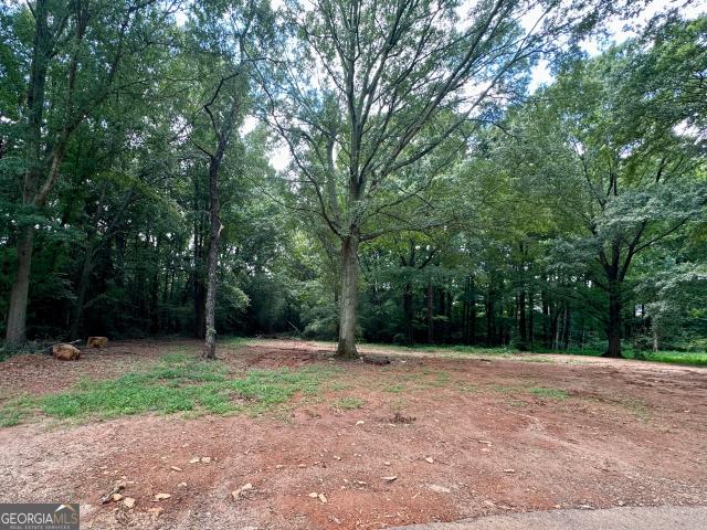LOT 1 Pine Street 1 Acre