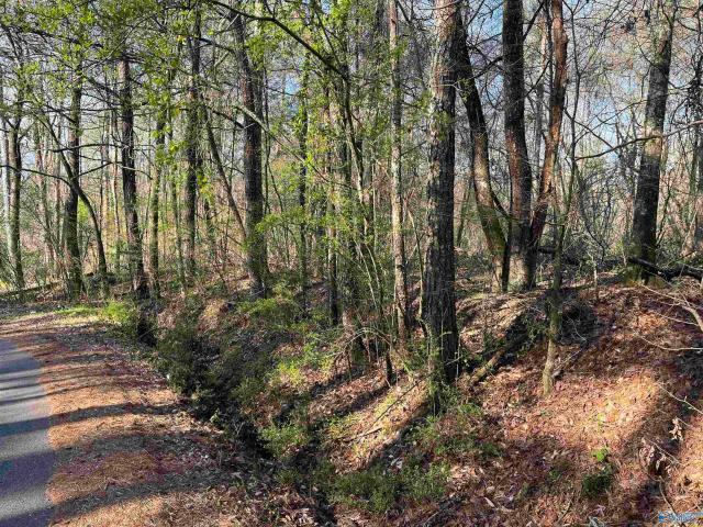 Lot 1 & Pt of 2 Halsey Street