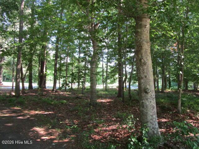 Lot 1 Roanoke Drive W # 1