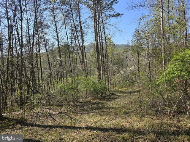LOT 1 S Ft Valley Rd