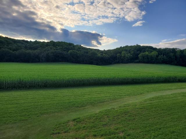 Lot 1 Shower Road