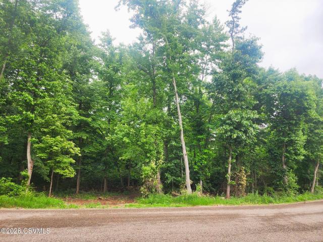 Lot #1 shamrock road