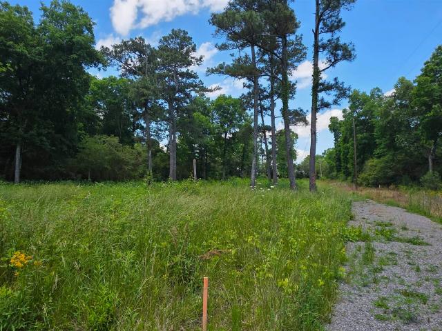 Lot 1 Shankles Circle