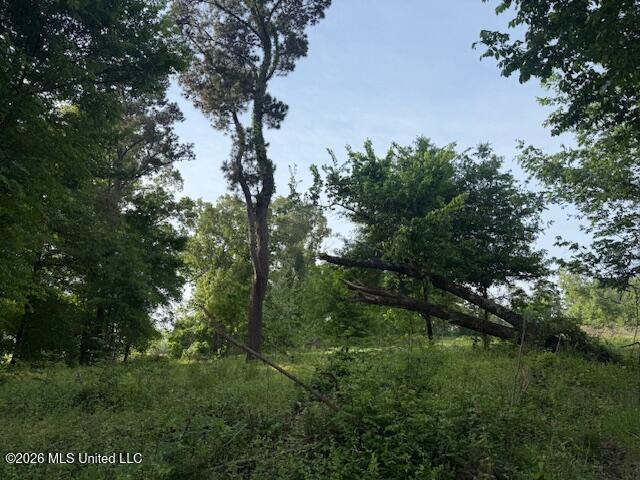 Lot 1 Slocum Road, Hernando, MS 38632