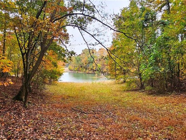 Lot 1 Snote Jones Rd, Dallas, GA 30132 | MLS #7730