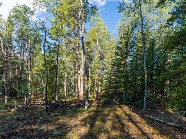 Lot 1 Snow Cap Peaks Road