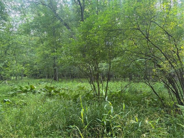 Lot #1 Stone Ln, Hilliards, PA 16040 | MLS #1707 | Compass
