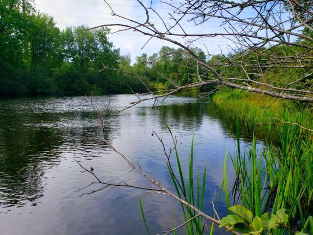 Lot 1 State Road, Couderay, WI 54828 | MLS #6716
