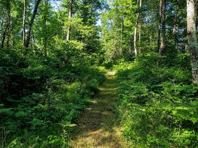 Lot 1 State Road 27/70